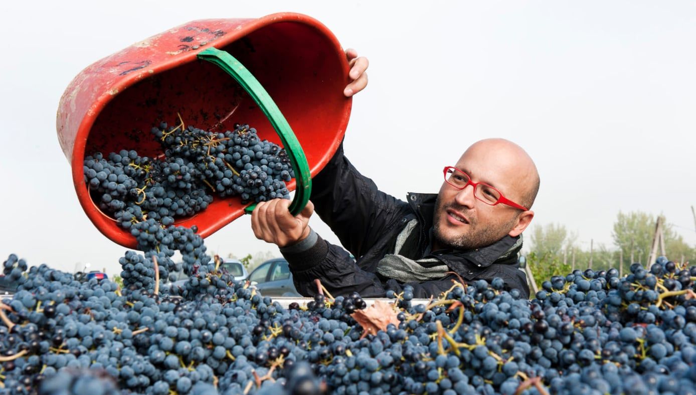 Classical Music and Wine Pairings To Soothe Your Soul | WFMT