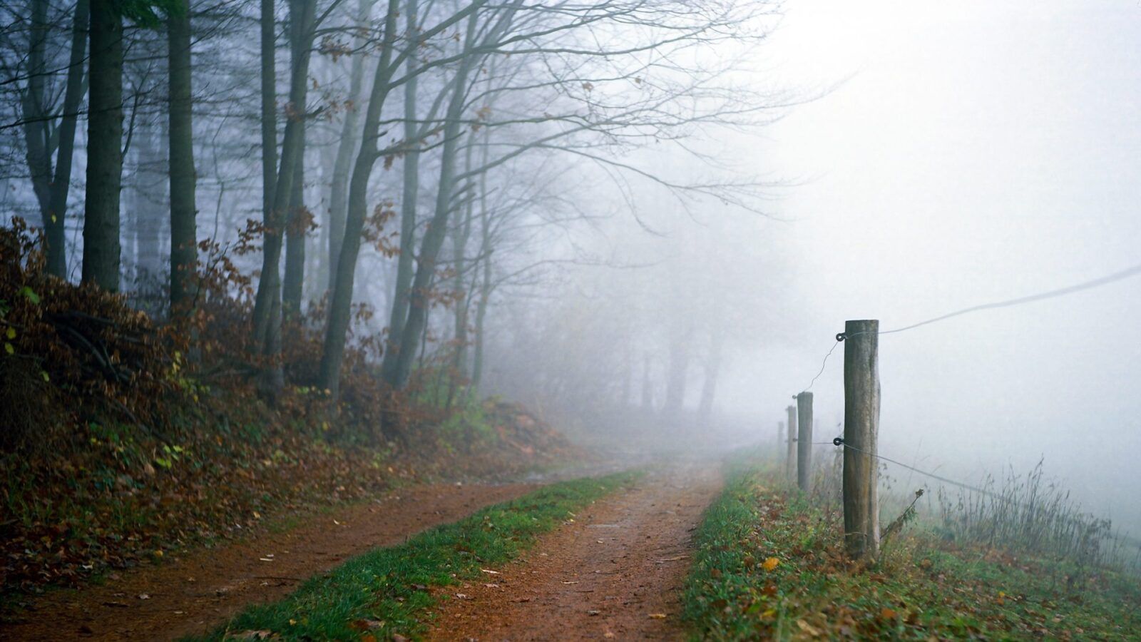 Shadows and Fog | WFMT