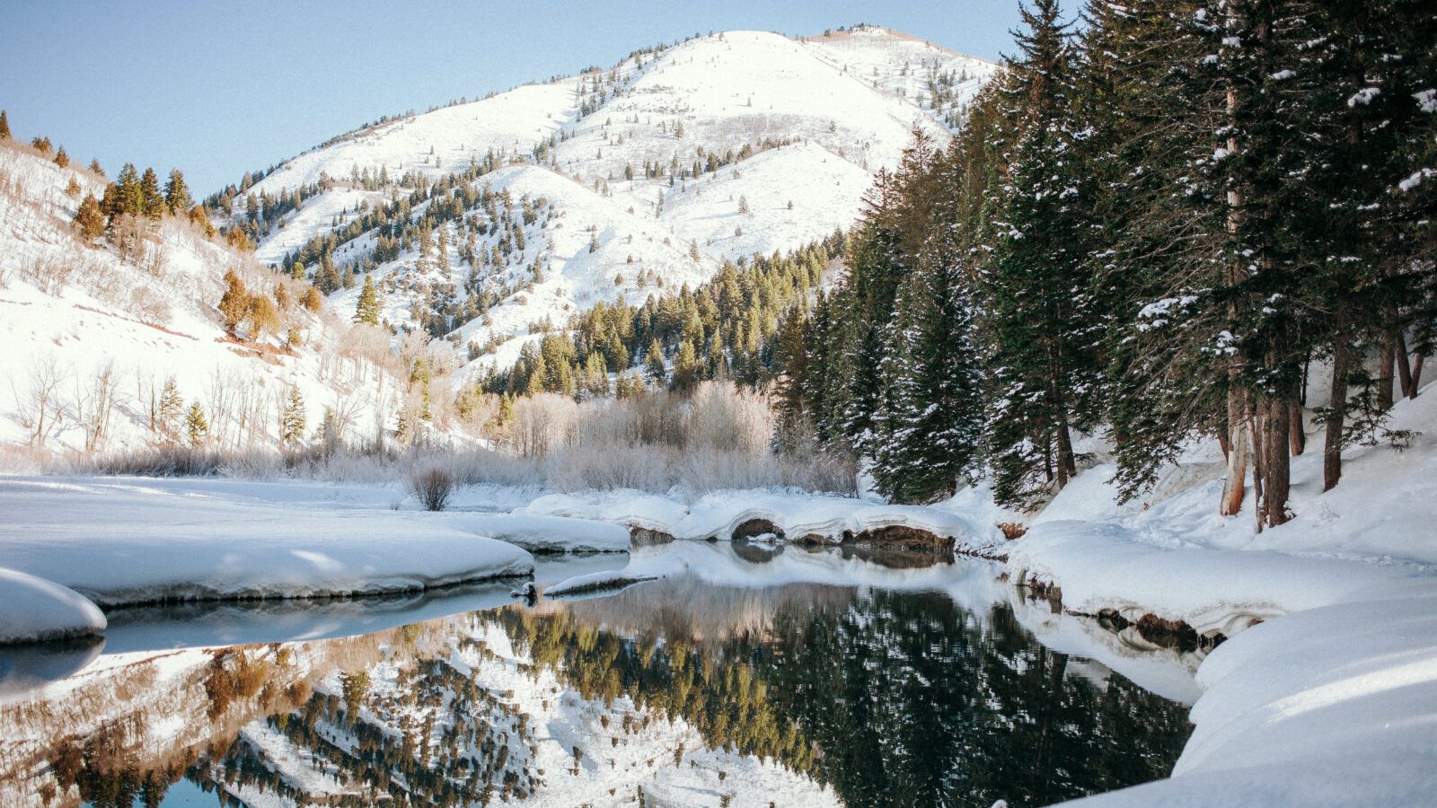 Variations on America | WFMT