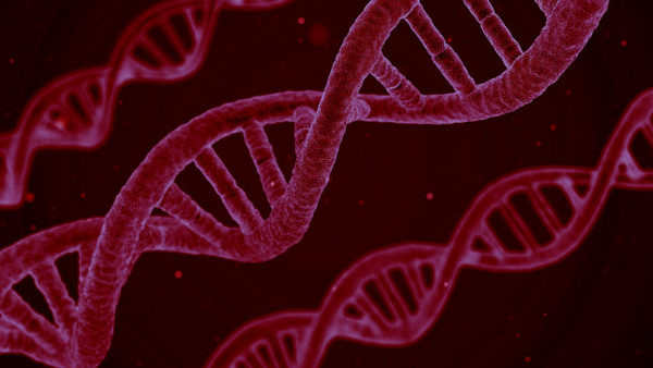 Game of Pairs, Part II | WFMT