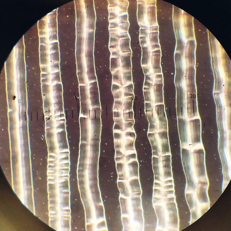 Valuable Vinyl: How to Care for Your Prized Classical LPs | WFMT