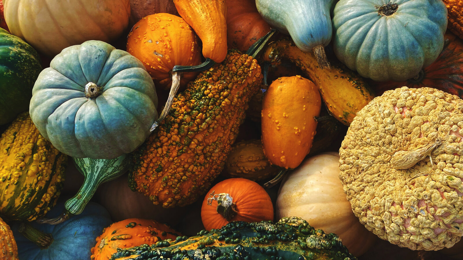 Reaping What We Sow | WFMT
