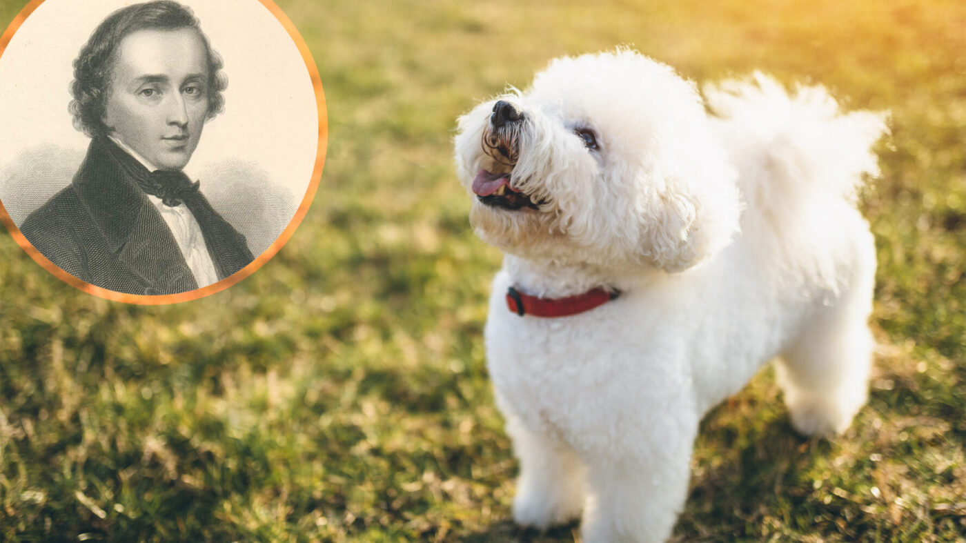 Classical Composers and Pets: Music for Dear Dogs and Cats | WFMT