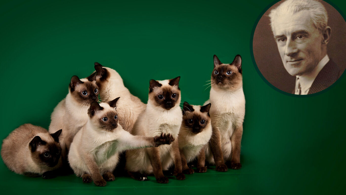 Classical Composers and Pets: Music for Dear Dogs and Cats | WFMT