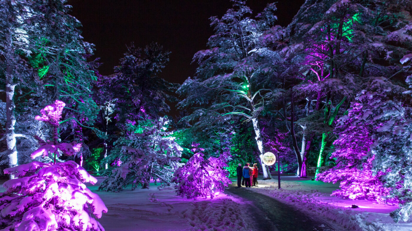 Chicago Holiday Performances Guide 2024: Concerts, Nutcrackers, Jazz, and more | WFMT