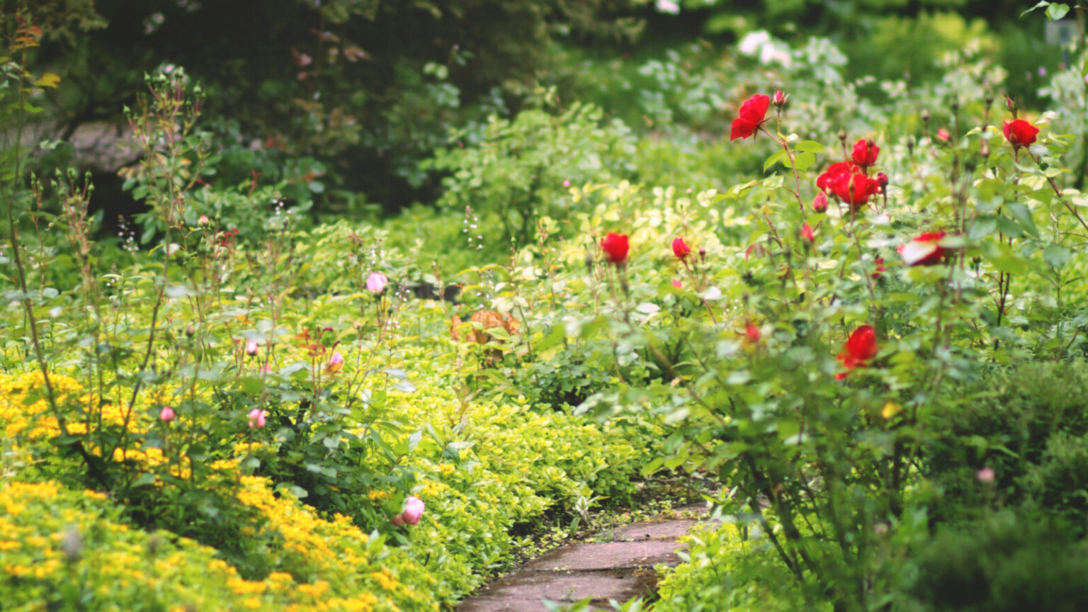 Classical Music for Your Garden (Playlist) | WFMT